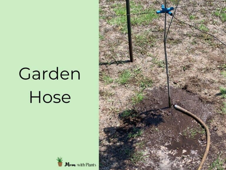 How to water trees deeply (and why you should) - Mom with Plants